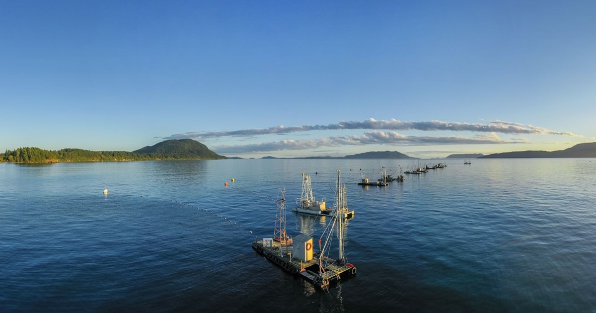 Contact Us | Delta Blue